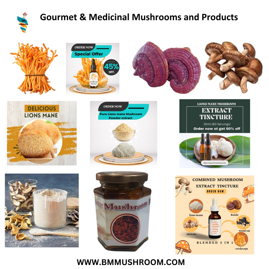 BM MUSHROOM ONLINE STORE