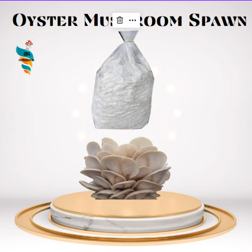 Mushroom Spawn & Cultures – BM MUSHROOM ONLINE STORE