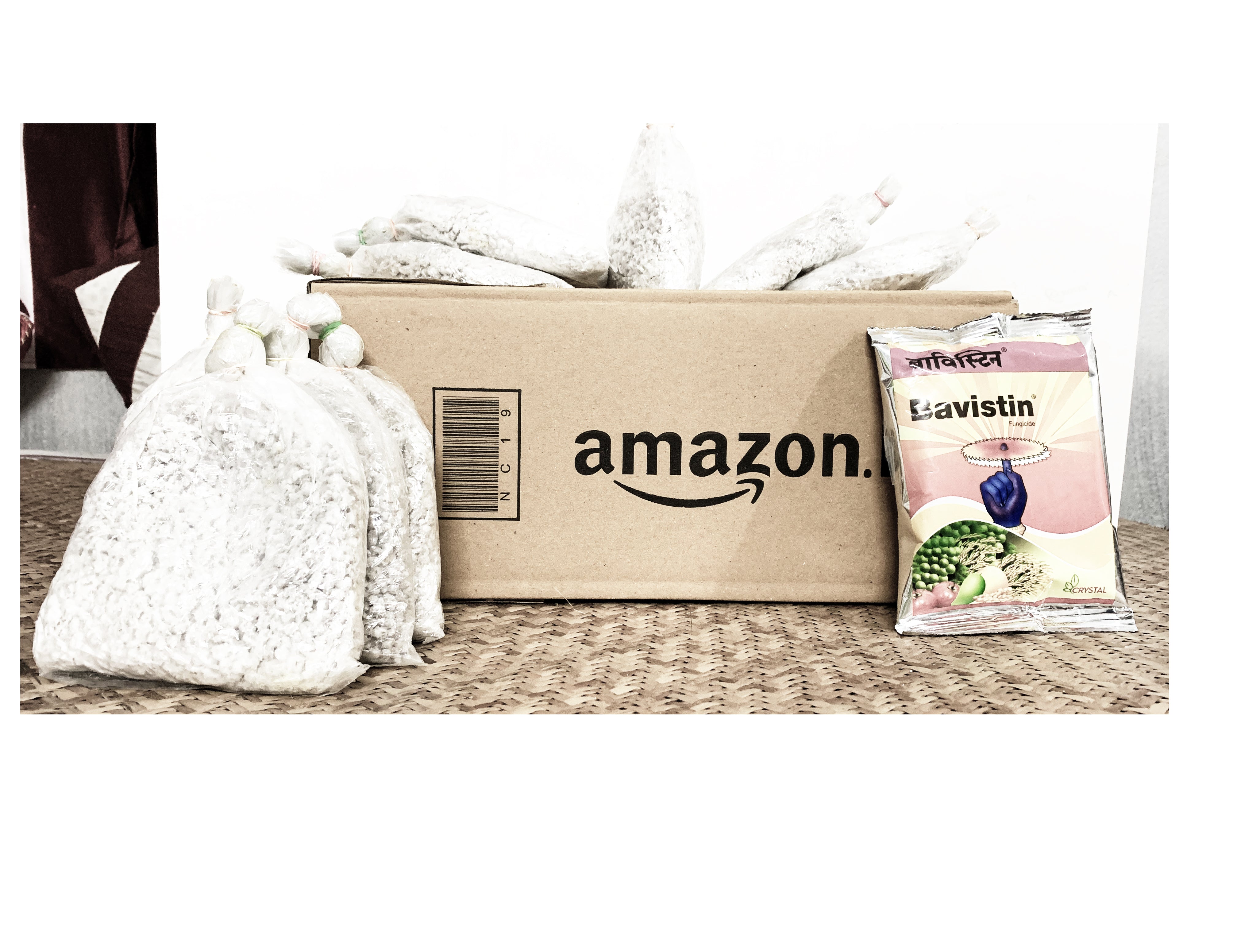 10 kg oyster mushroom combo kit ( Spawn + 100 pp bags + Bevistin ) – BM ...